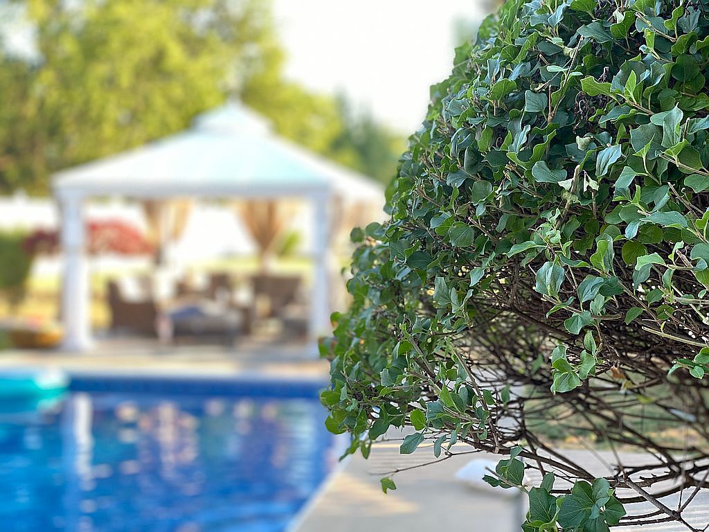 170 Laurel Way, Spring Church, PA 15686 | Zillow