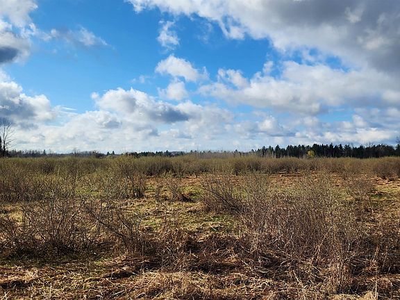 0 W Main St, Twining, MI 48766 | MLS #1921346 | Zillow