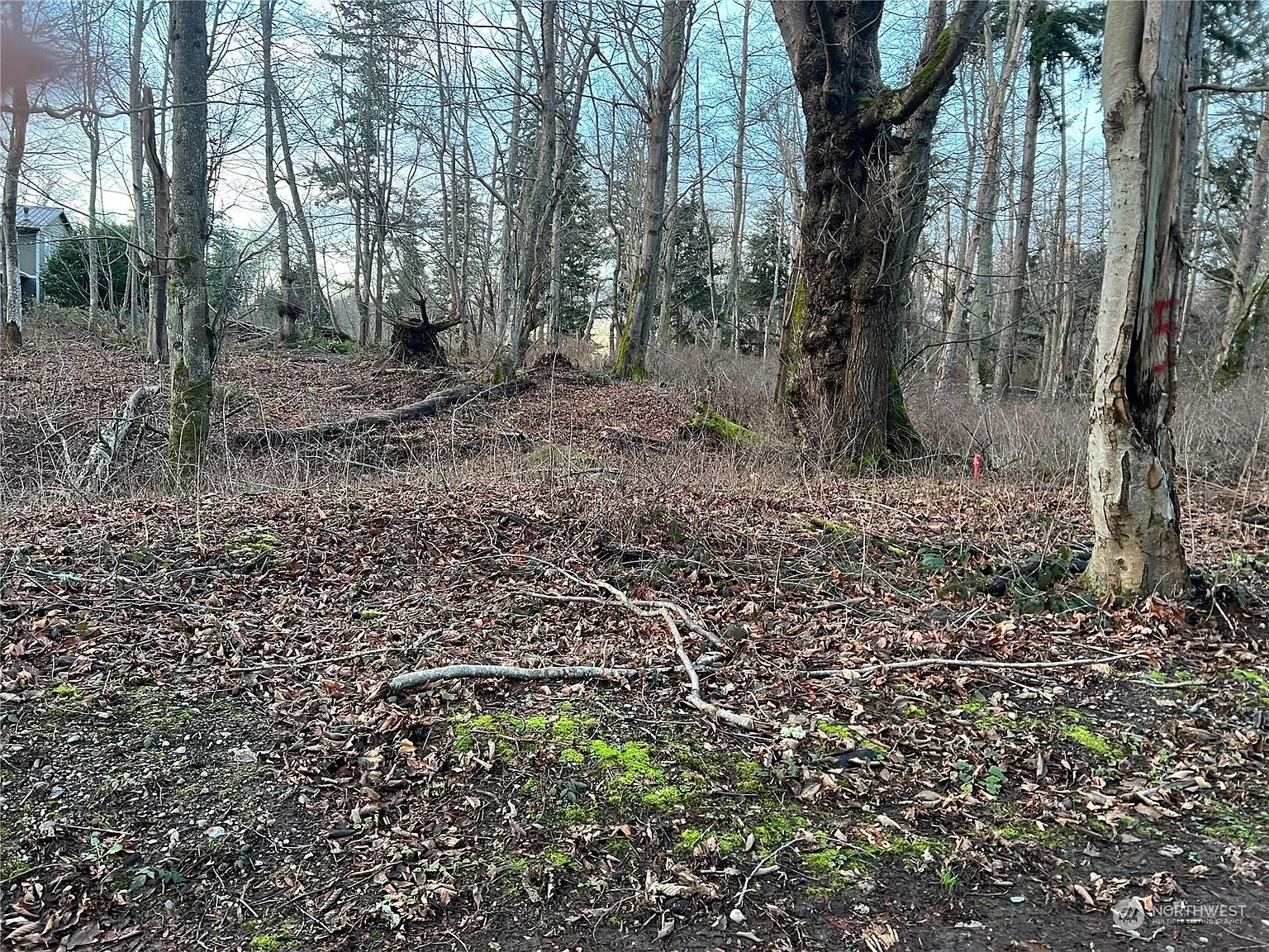 75 F Beach Way, Everett, WA 98206 | MLS #NWM2027712 | Zillow