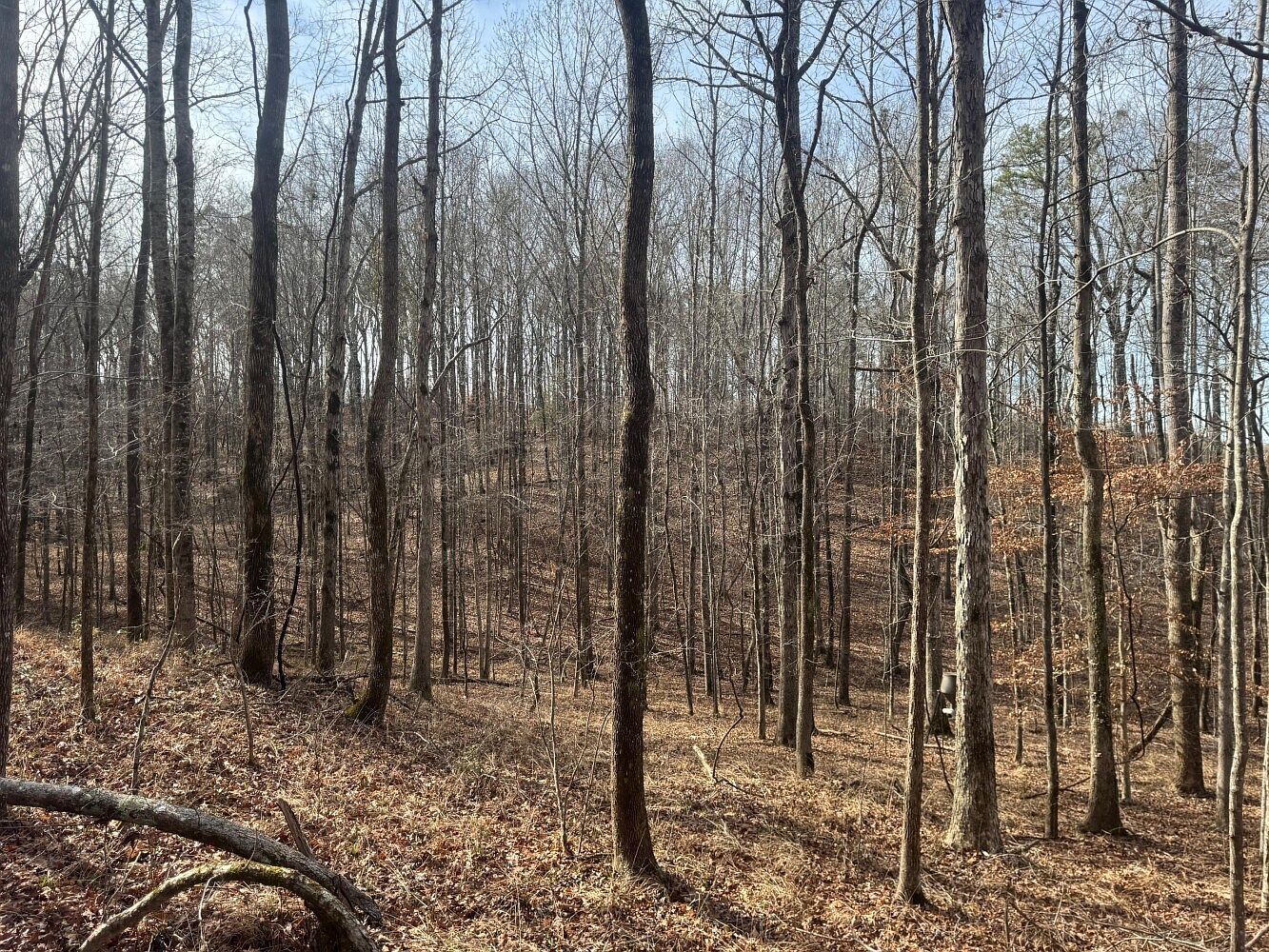 Scroggins Rd, Vaiden, MS 39176 | Zillow