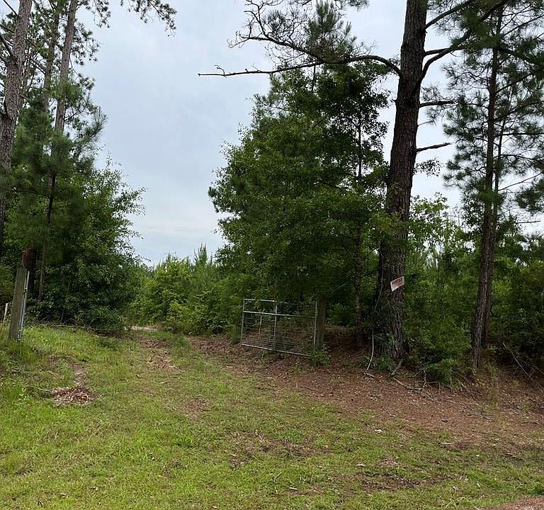 0 County Road 6629, Banks, AL 36005 | Zillow