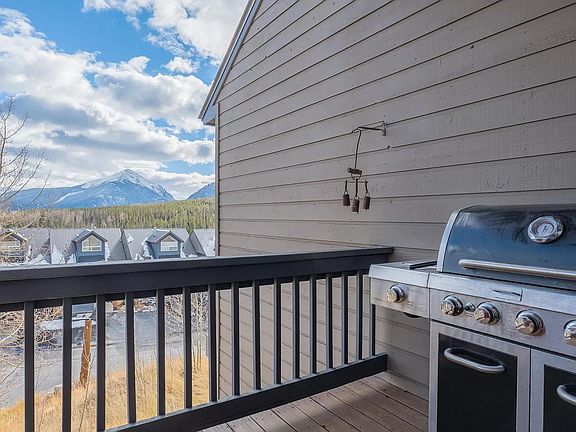 21 Deborah Ln, Silverthorne, CO 80498 | Zillow