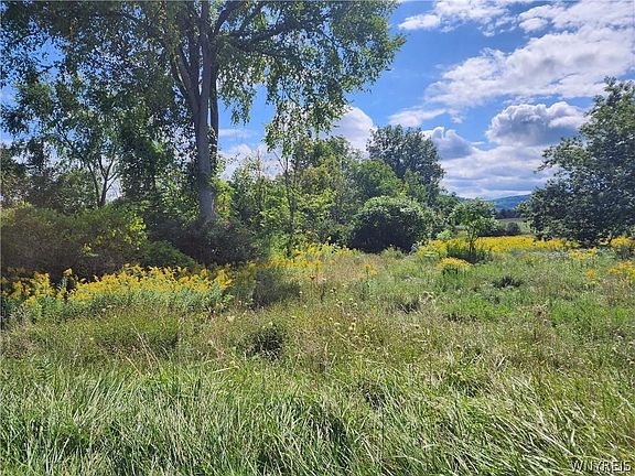 12059 Middle Rd #13, East Concord, NY 14055 | MLS #B1527994 | Zillow