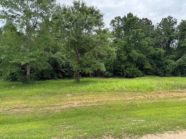 0 Sailor Rd LOT 6, Creola, AL 36525 | MLS #11517341 | Zillow