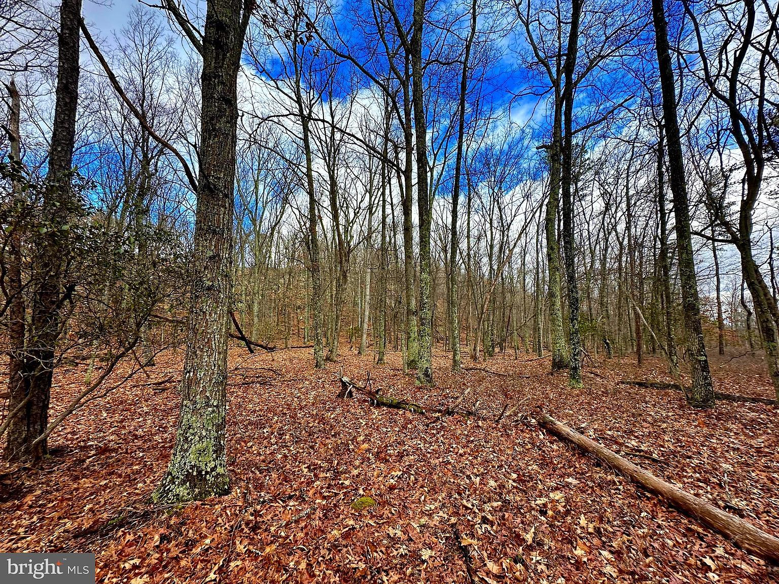 30 & 31 Boonedock Dr, Upper Tract, WV 26866 | MLS #WVPT2000808 | Zillow