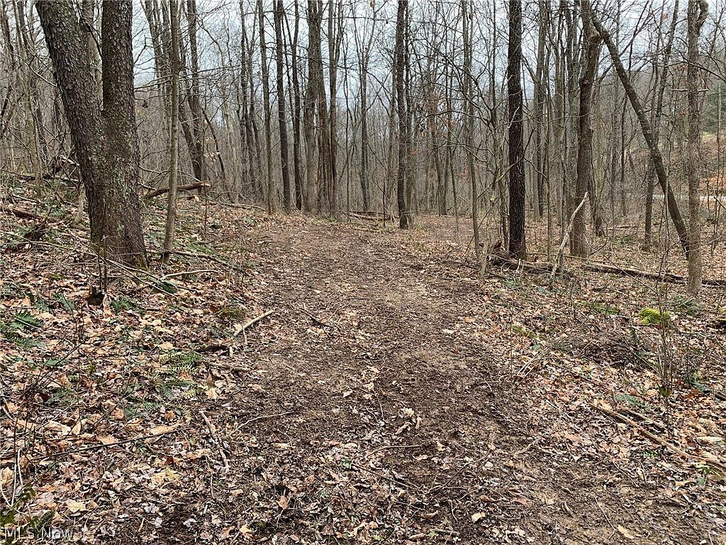 18582 Township Road 411, Warsaw, OH 43844 | Zillow