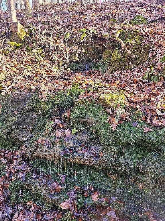 222 Ralph Spivey Ln, Gainesboro, TN 38562 | Zillow