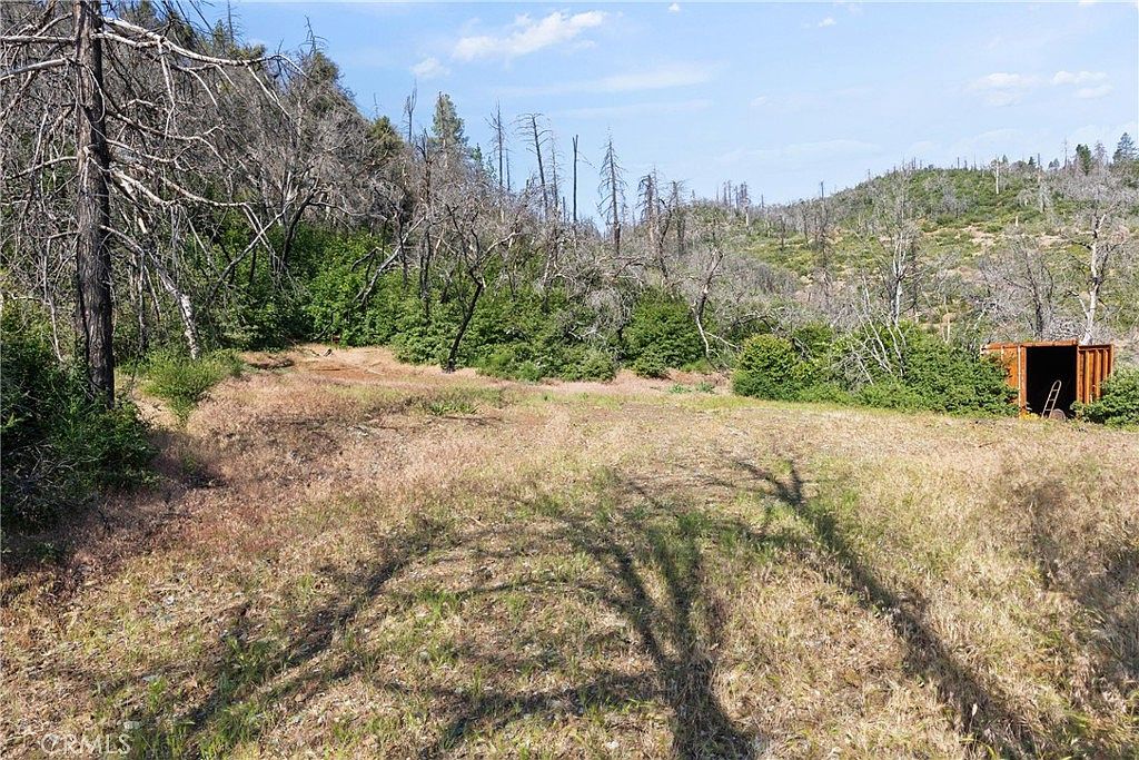 0 Eagle Peak, Paskenta, CA 96074 | MLS #SN25128645 | Zillow