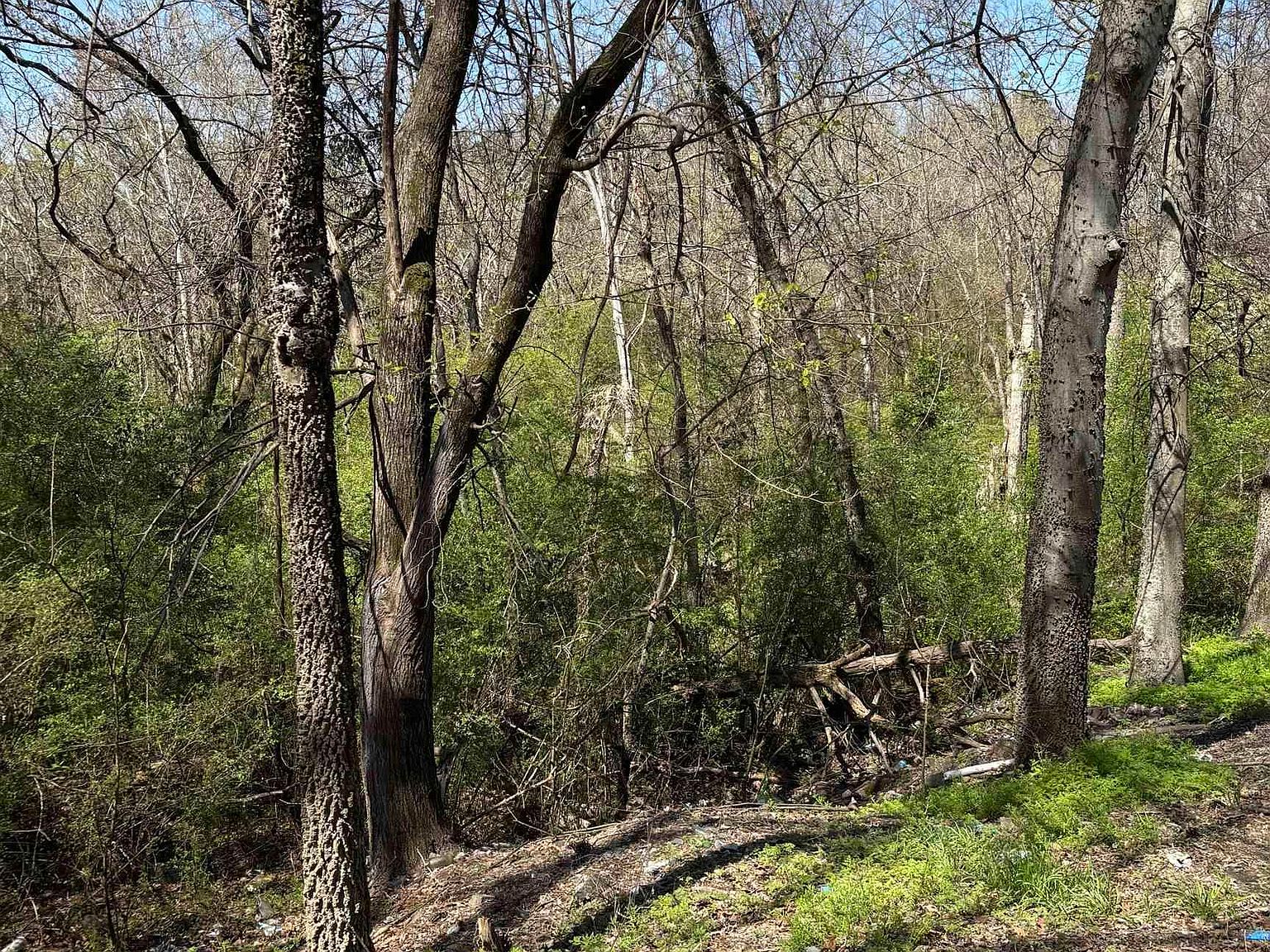 1650 Simmons St #0, Dolomite, AL 35061 | MLS #21413578 | Zillow