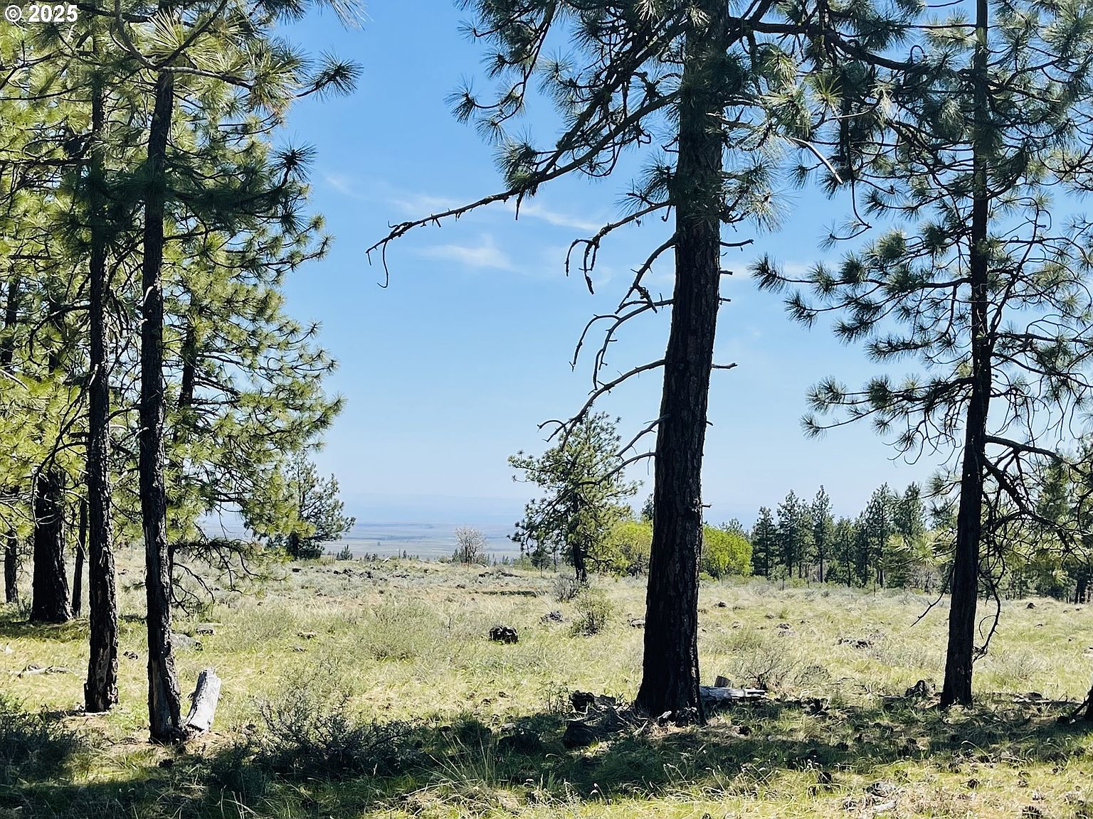 Jensen Quarry Rd, Bickleton, WA 99322 | MLS #23570560 | Zillow