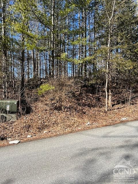 607 Sleepy Hollow Rd, Athens, NY 12015 | Zillow