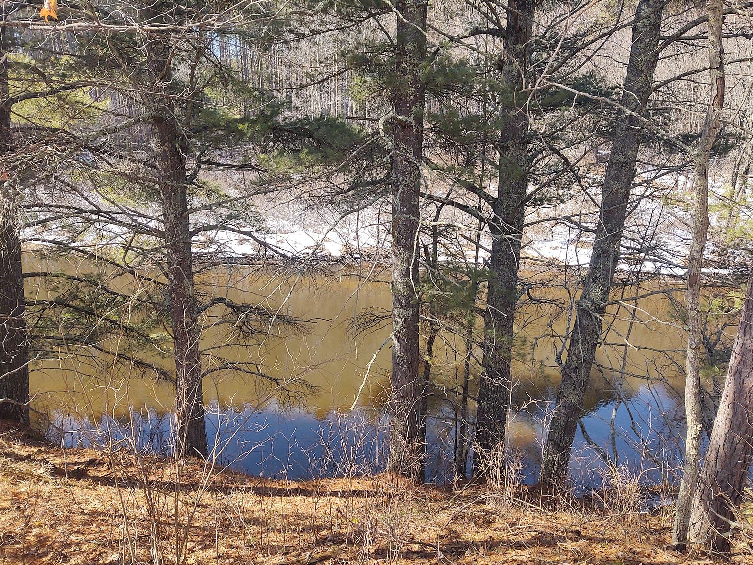 LOT 28 Running Bear Ln, Harshaw, WI 54529 | Zillow