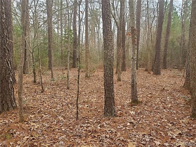 Old Elam Cemetary Rd, Charles City, VA 23030 | Zillow