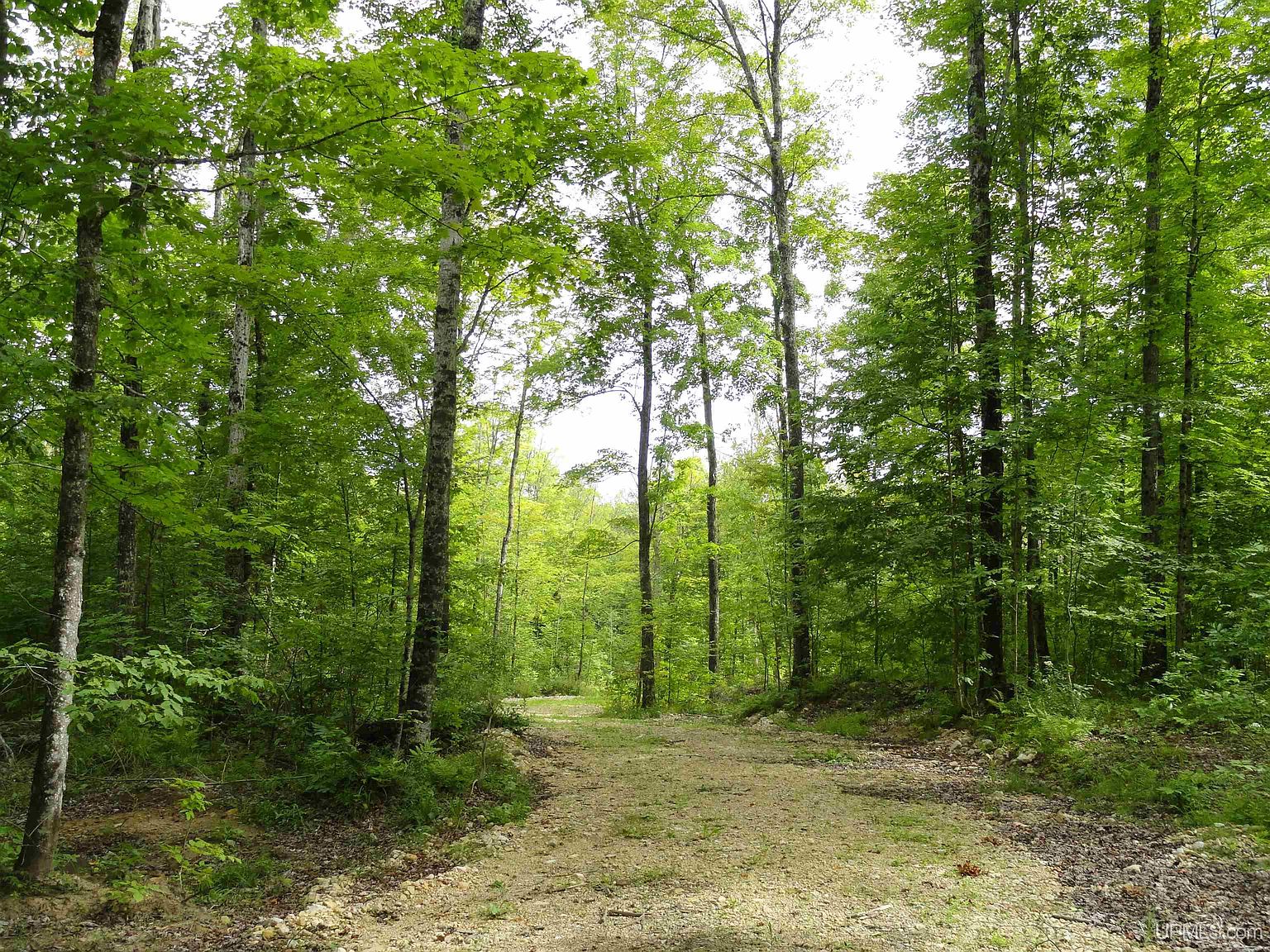 Sw Wls, Arnold, MI 49819 | MLS #50095335 | Zillow