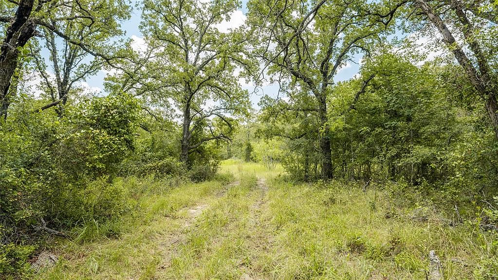 418 D County Rd #405, Buckholts, TX 76518 | MLS #7078751 | Zillow