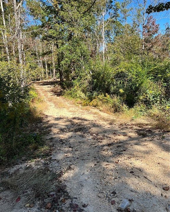 0 Truman Aldrich Pkwy, West Blocton, AL 35184 | Zillow