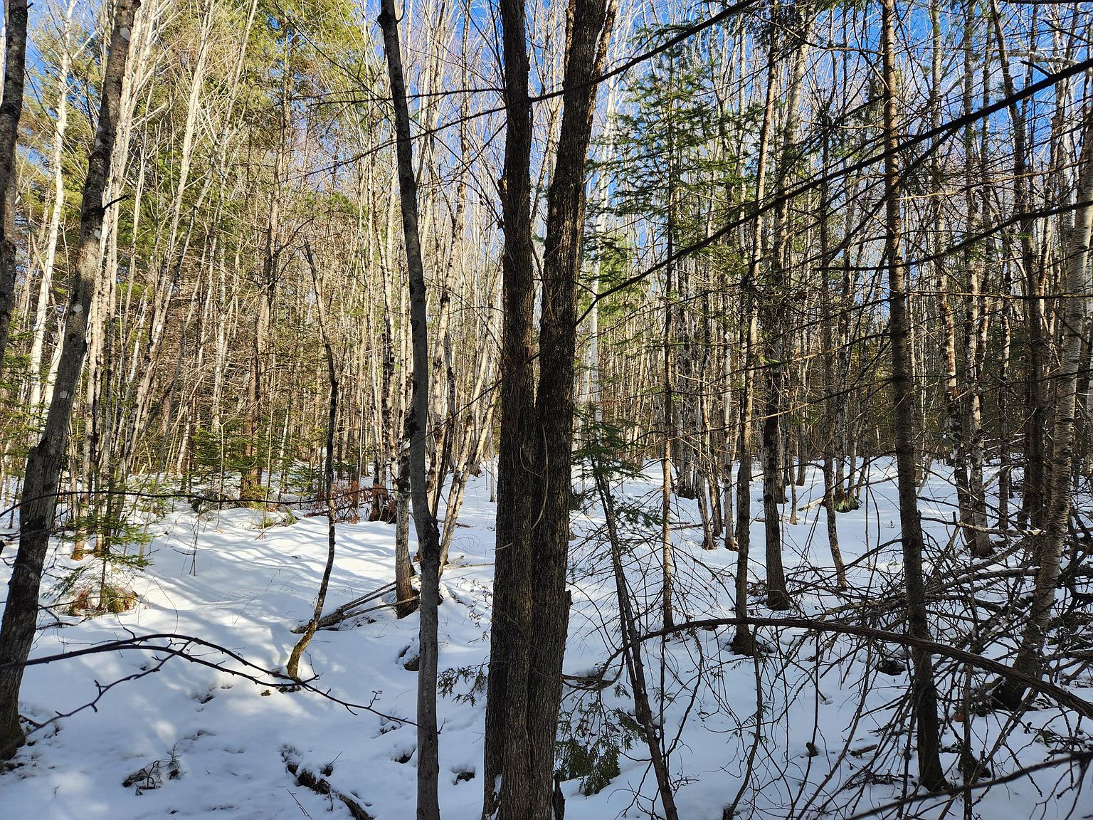 4-6-1 Map 010 Lot 4-6-1 Hebron Road, Buckfield, ME 04220 | Zillow