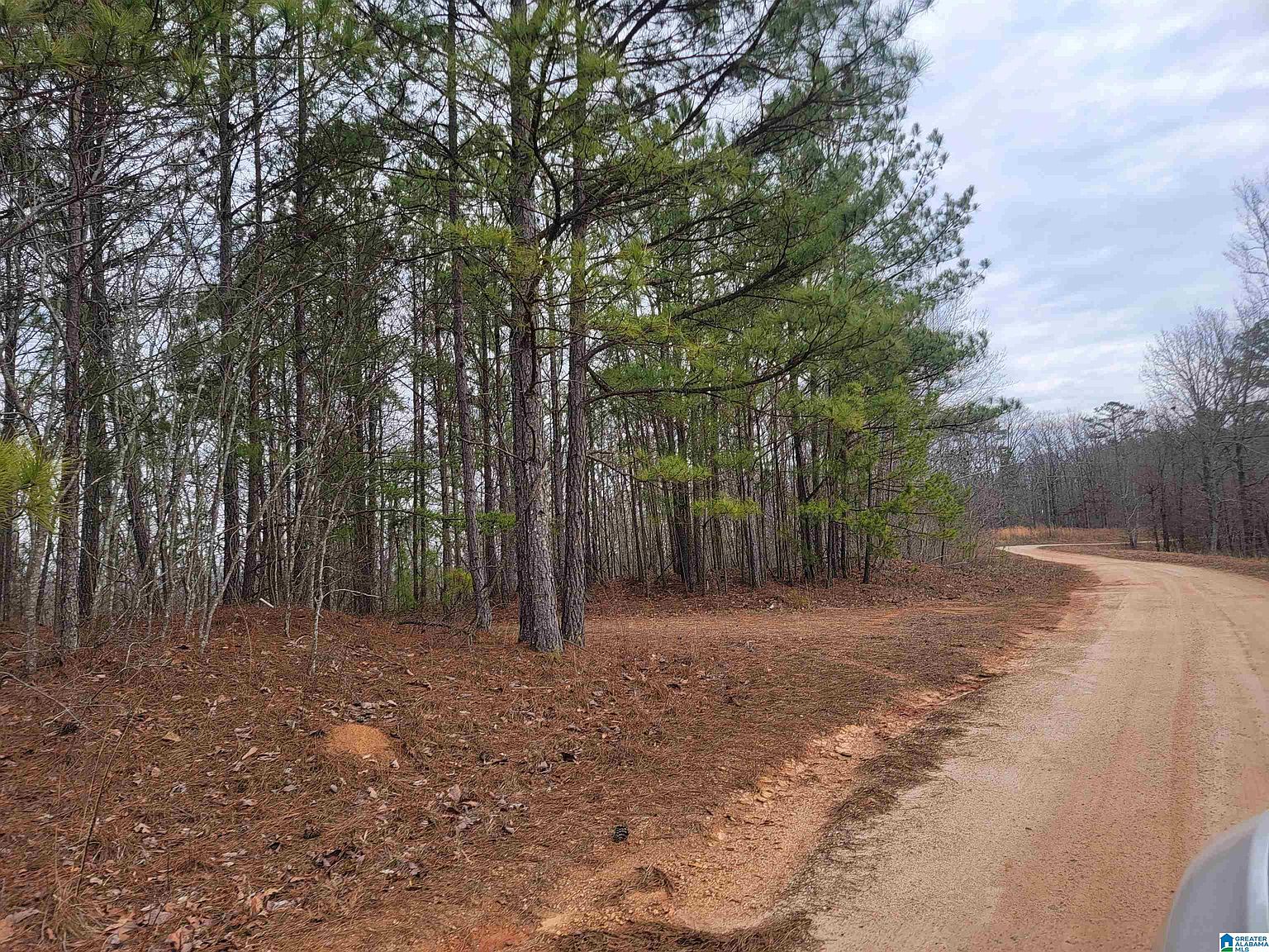 LOT 10 County Rd #116-10, Heflin, AL 36264 | MLS #21395930 | Zillow