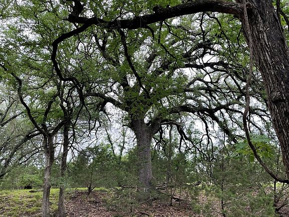 113 Live Oak Mott Drive Hwy, Goldthwaite, TX 76844 | MLS #2651037 | Zillow