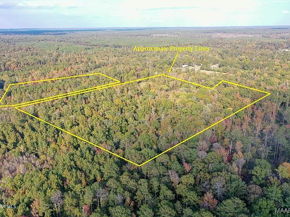 9357 Bashi Rd, Thomasville, AL 36784 | MLS #565034 | Zillow