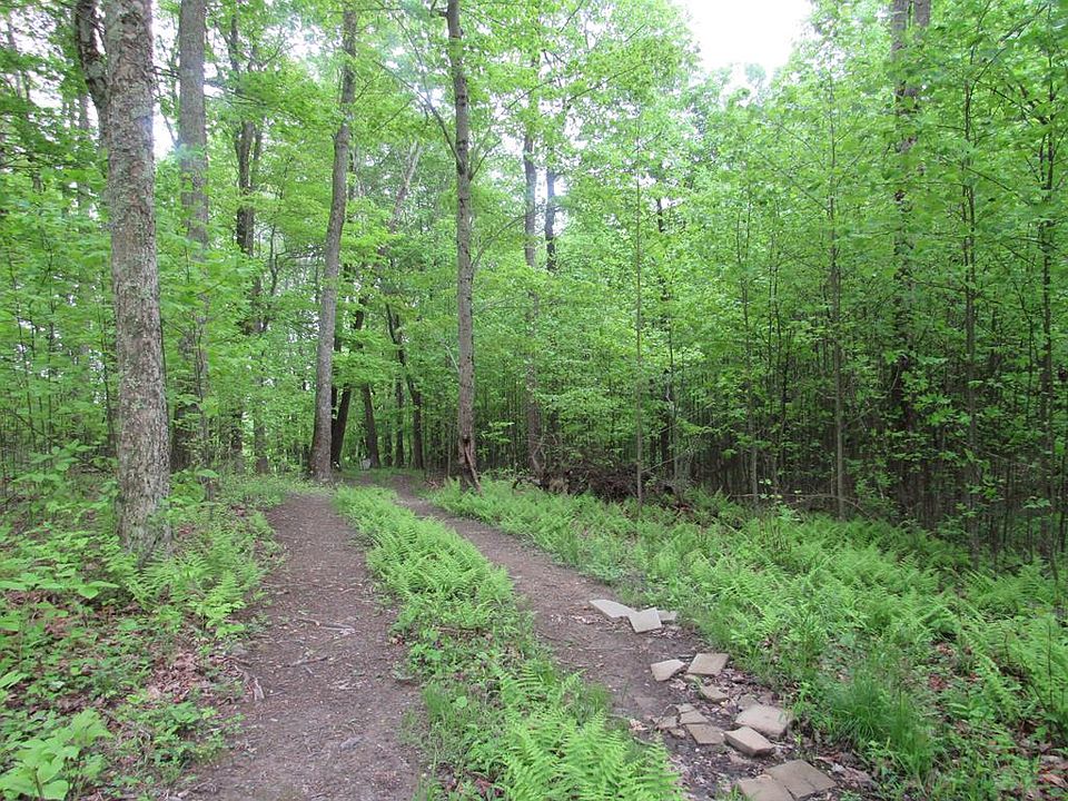 0 Ellison Ridge Rd, Flat Top, WV 25841 | Zillow