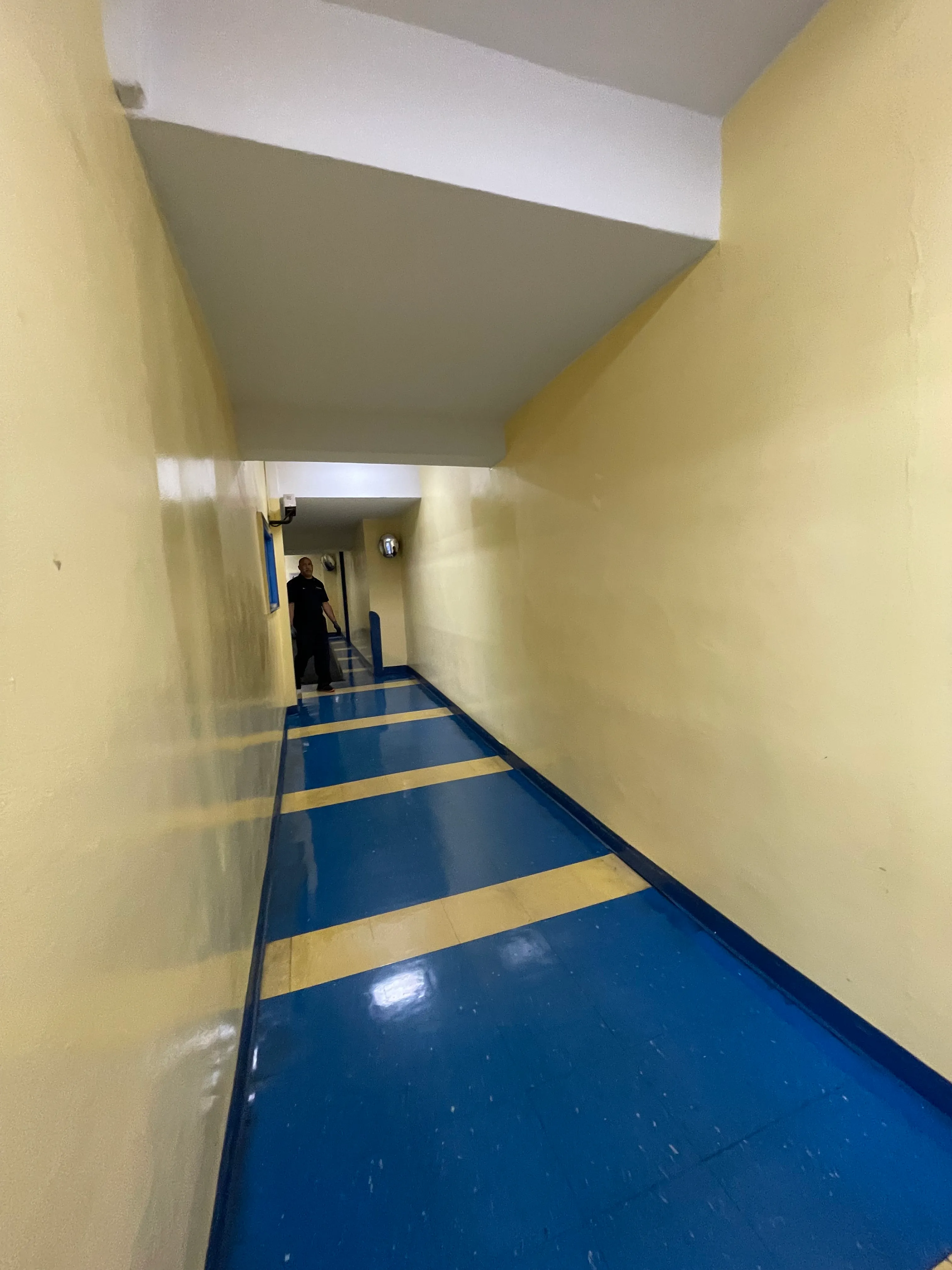 139-15 83rd Avenue #536 in Briarwood, Queens | StreetEasy