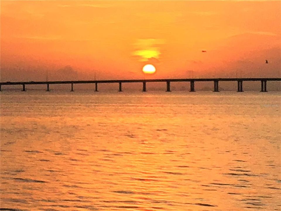 19029 Us Highway 19 N Clearwater, FL, 33764 - Apartments for Rent | Zillow