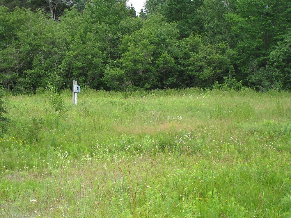 12114 W Irish Line Rd, Brimley, MI 49715 | Zillow