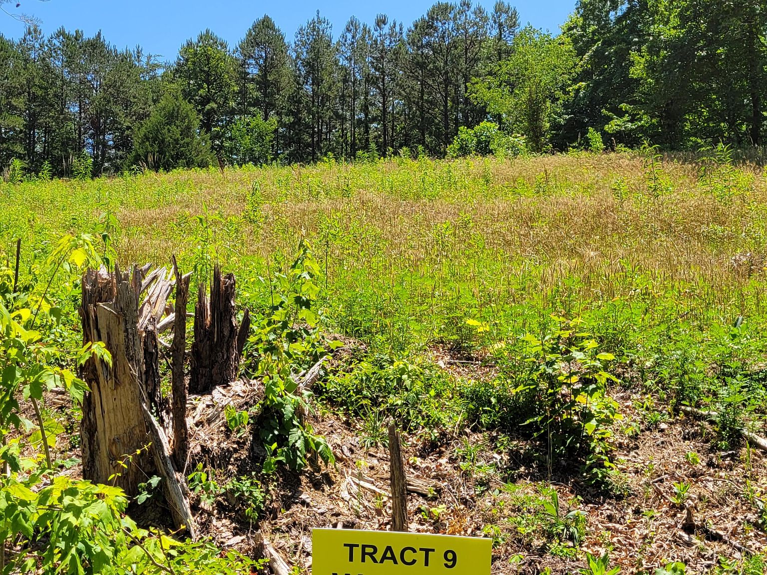 3501 Hazel Patch Rd, London, KY 40741 | Zillow