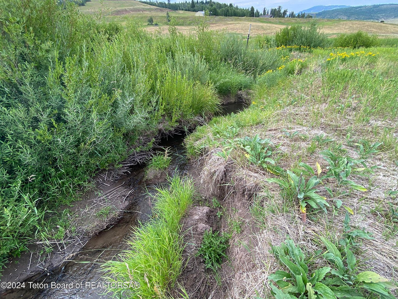 48 Grouse Loop Rd, Freedom, WY 83120 | MLS #24-2022 | Zillow