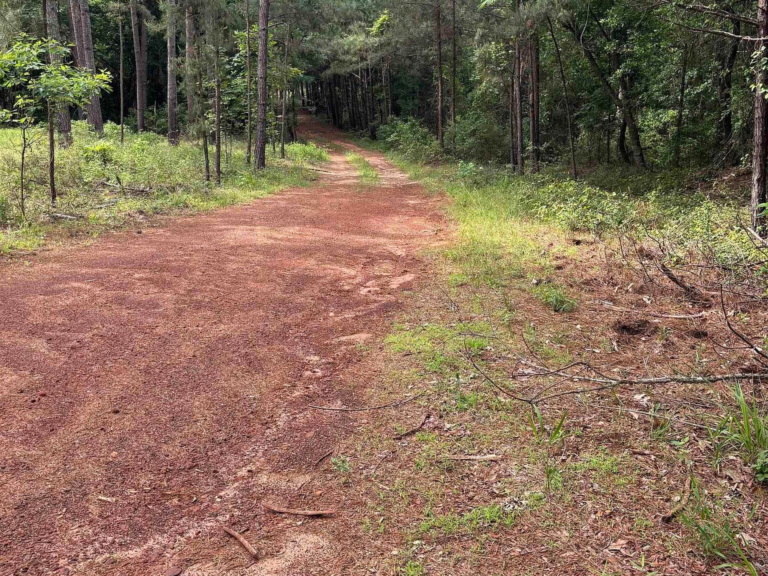 Private Rd, Long Branch, TX 75669 | MLS #20252857 | Zillow