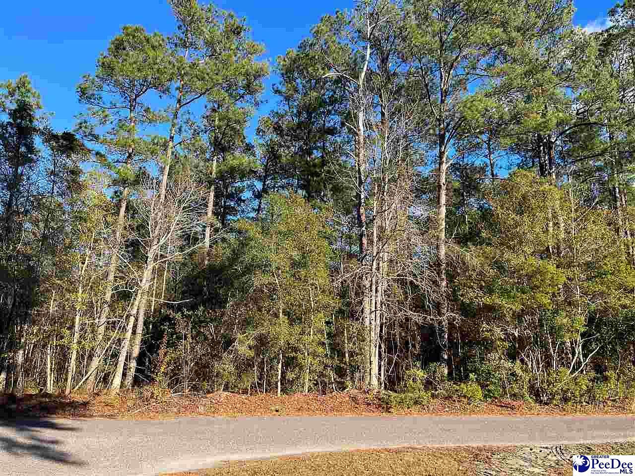 1410 Willtown Rd, Kingstree, SC 29556 | Zillow
