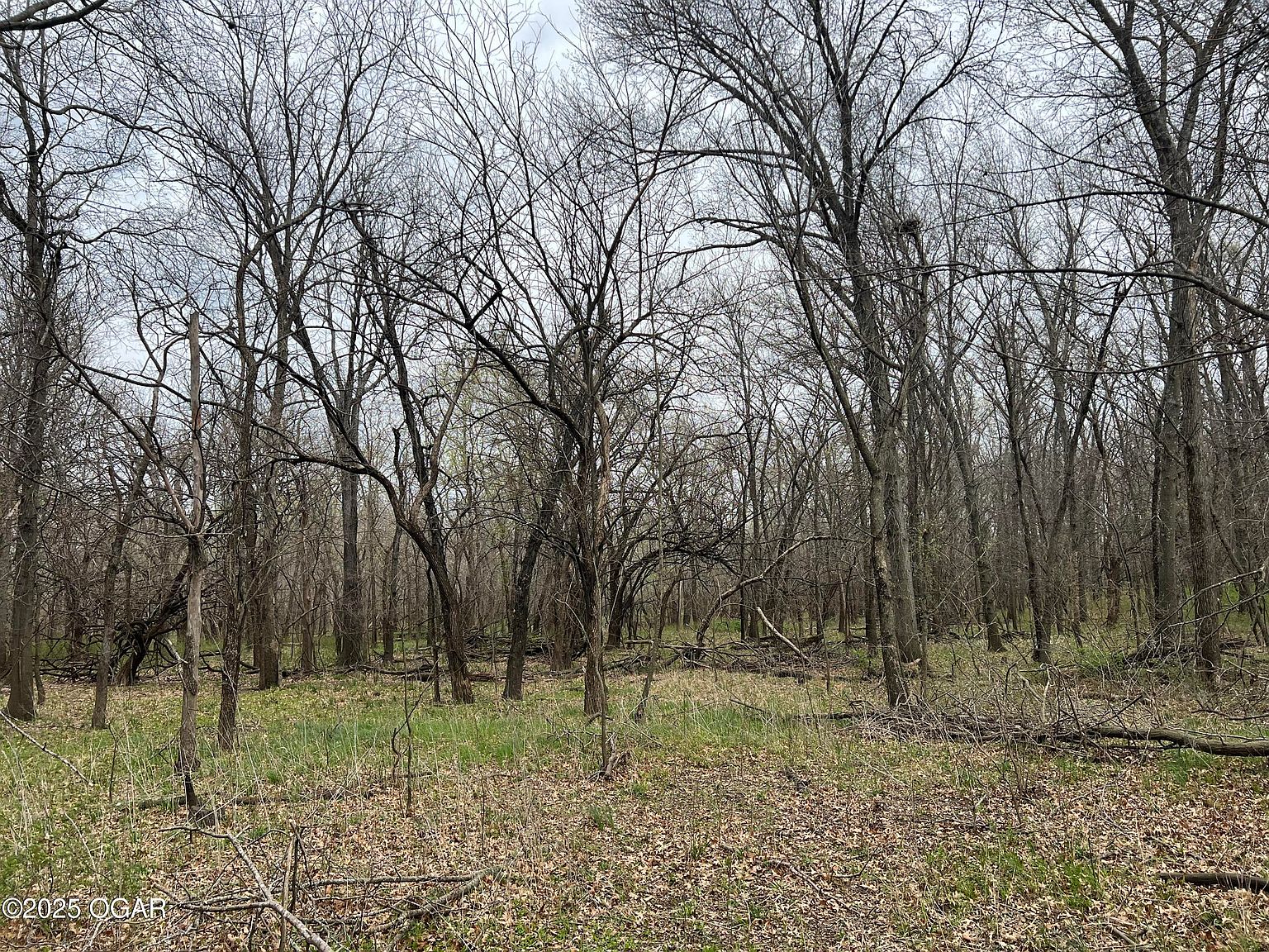 100 S 575th Rd, Deerfield, MO 64741 | MLS #251975 | Zillow