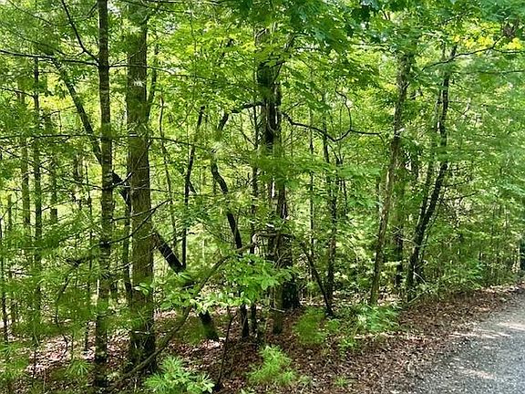 0 Hillbilly Holler #16-17, Blue Ridge, GA 30513 | MLS #7429512 | Zillow