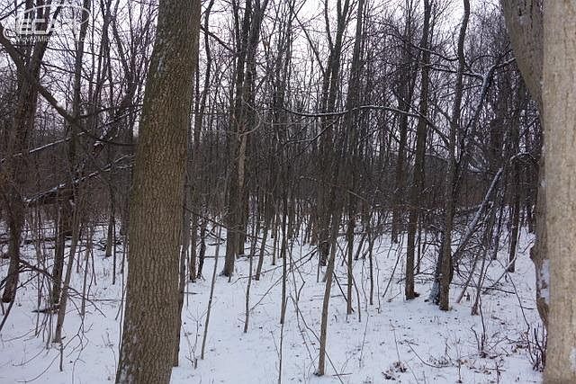 1976 S Five Lakes Rd, Attica, MI 48412 | Zillow