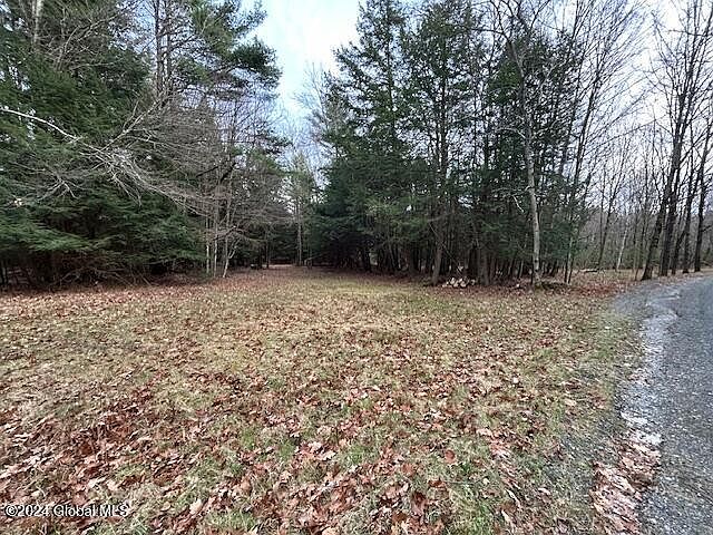 1A Nugent Road, Cropseyville, NY 12052 | MLS #202429237 | Zillow