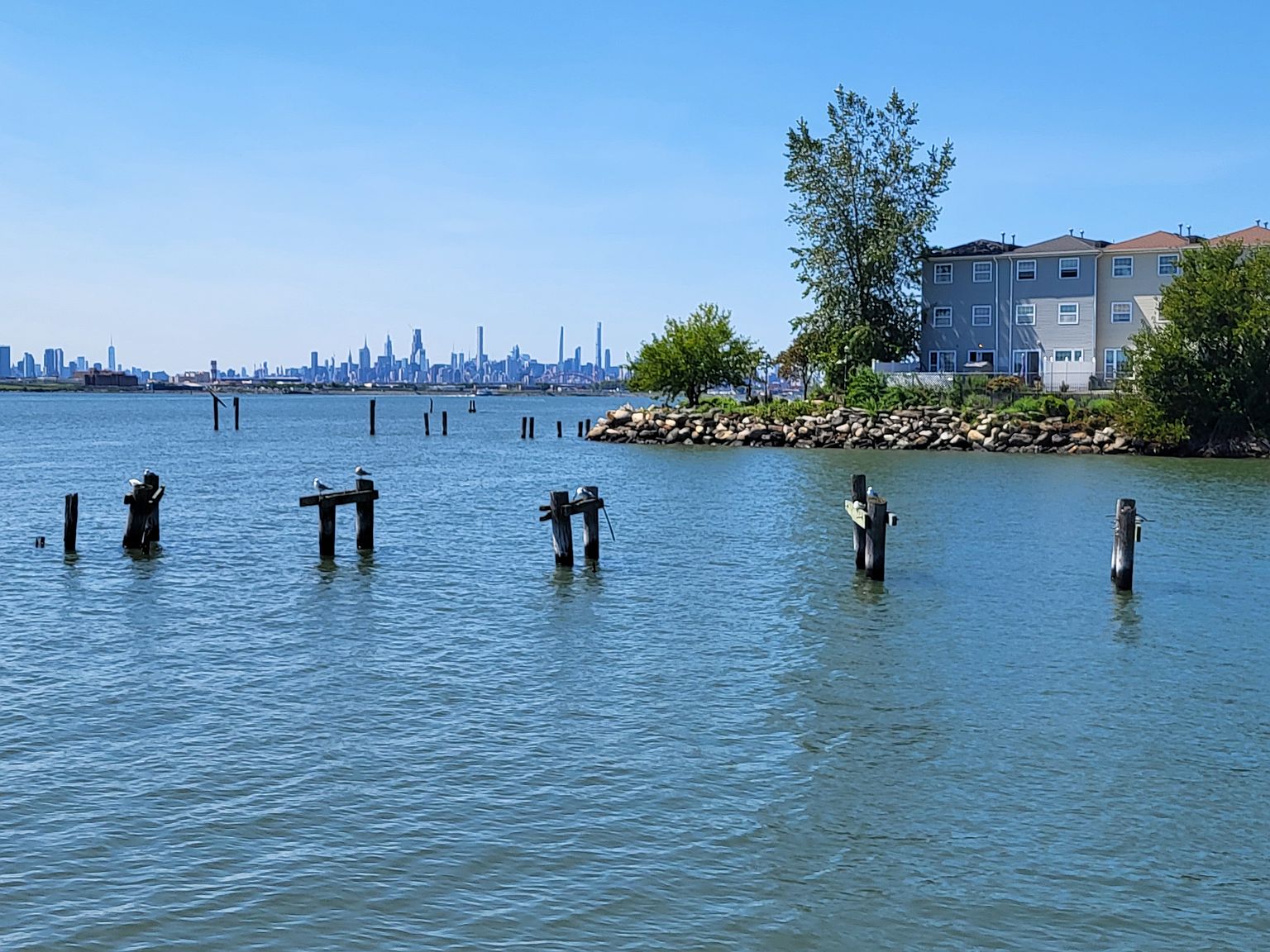 121 Horizon Ct #1, Bronx, NY 10473 | Zillow