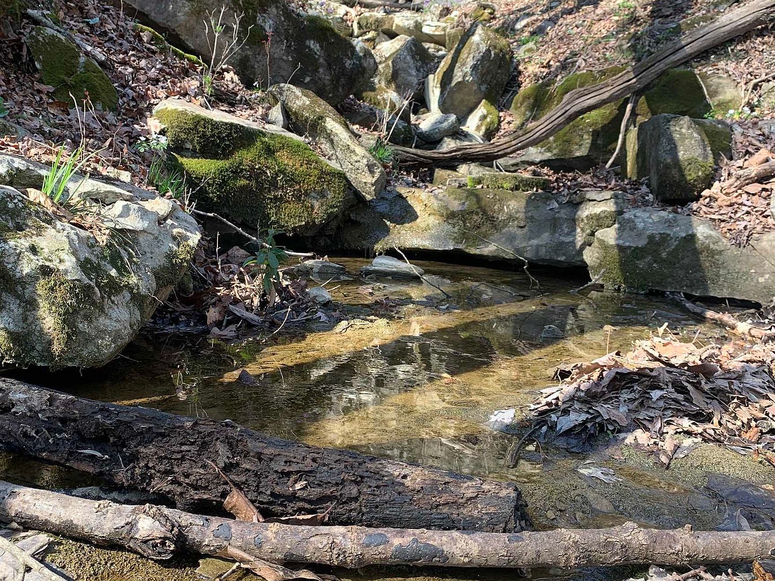 0 N Cedar Ln, Flintstone, GA 30725 | MLS #20177131 | Zillow