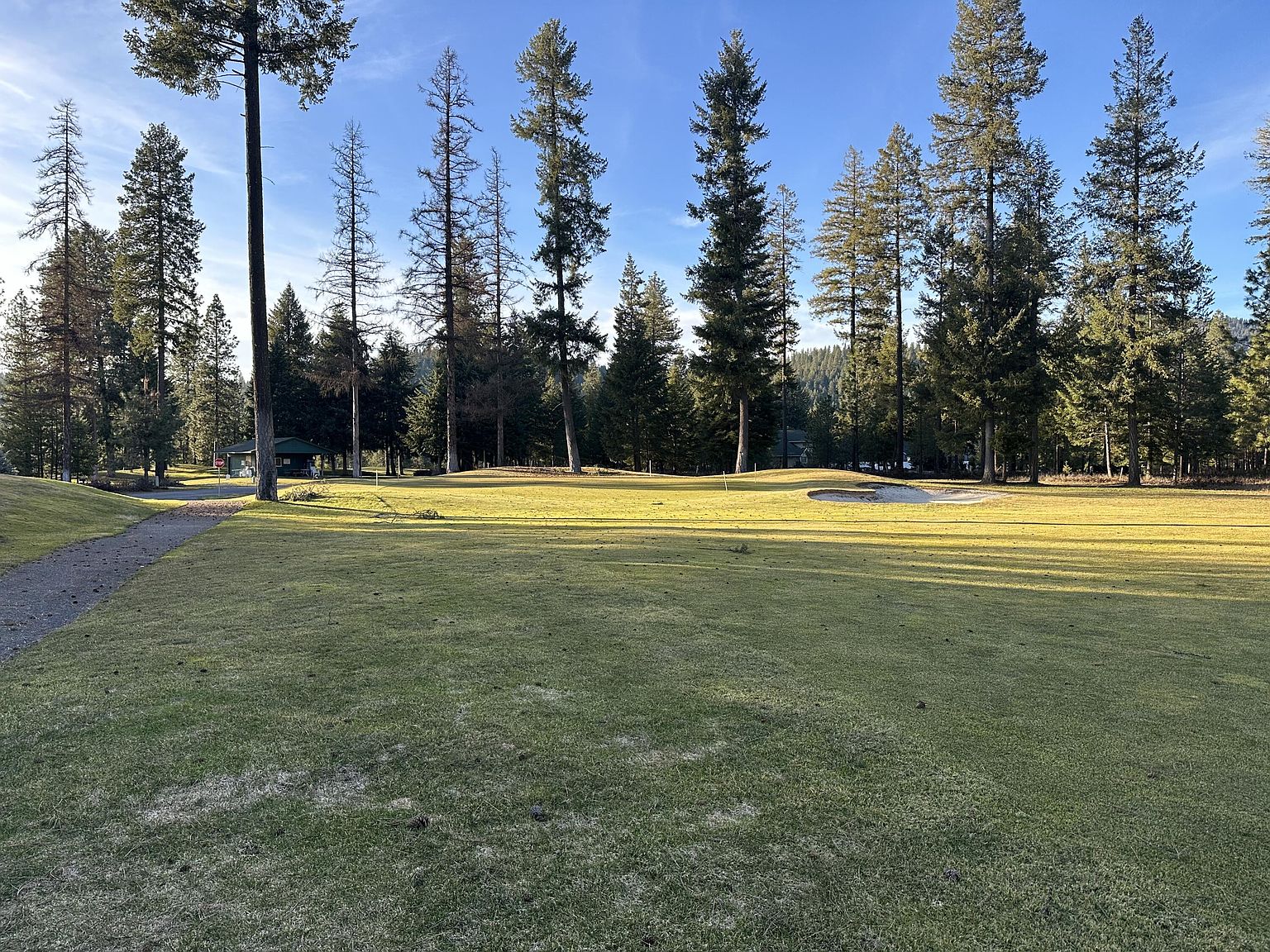 10 Hogans Way, Chewelah, WA 99109 | Zillow