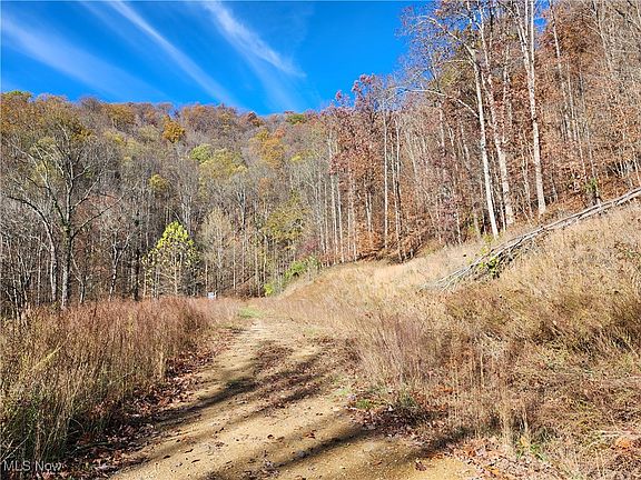 45.64 Sf Big Cres, Julian, WV 25529 | MLS #5086562 | Zillow