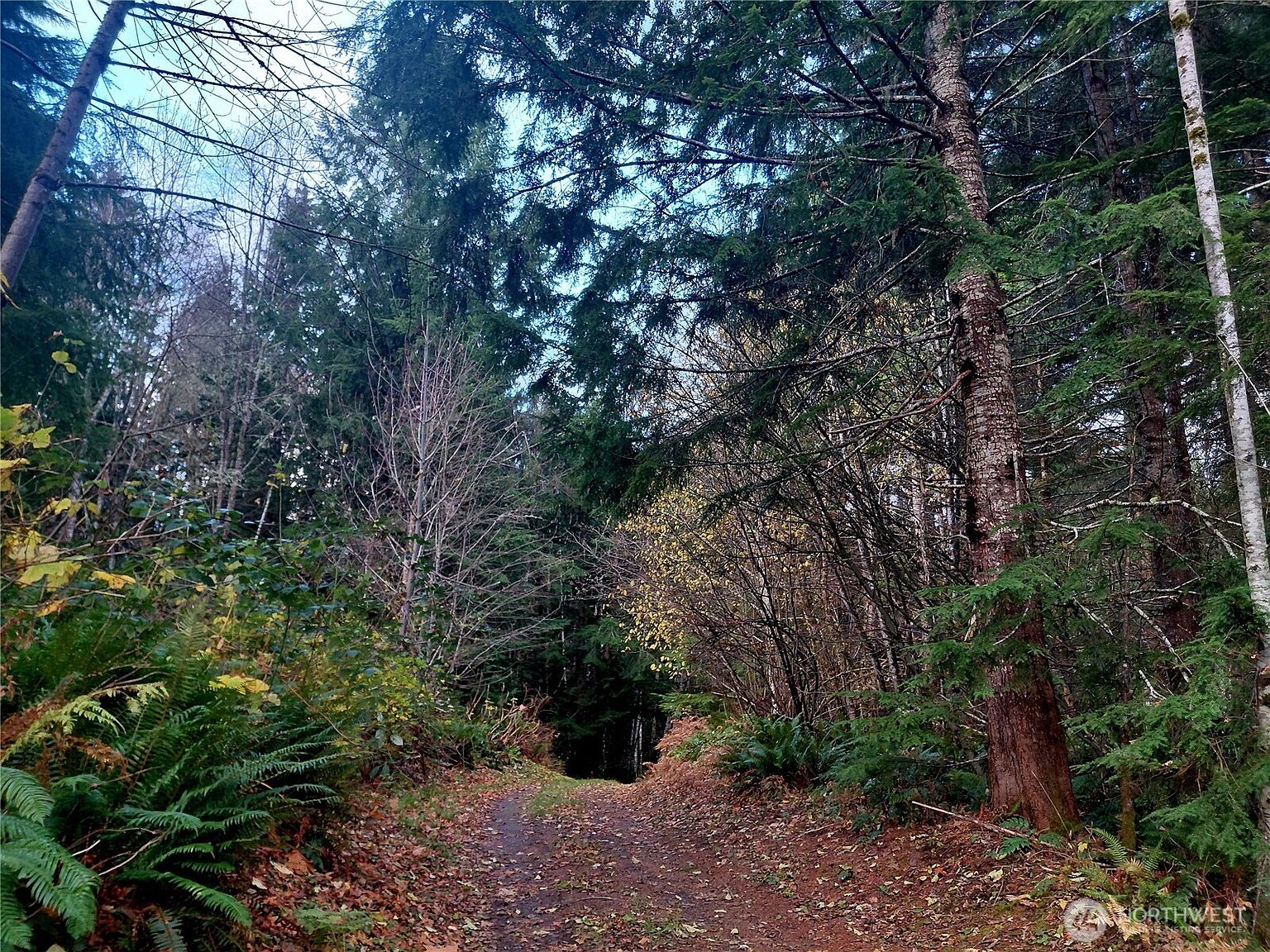 0 Lot 9 Old Barn Road, Randle, WA 98377 | MLS #2456870 | Zillow
