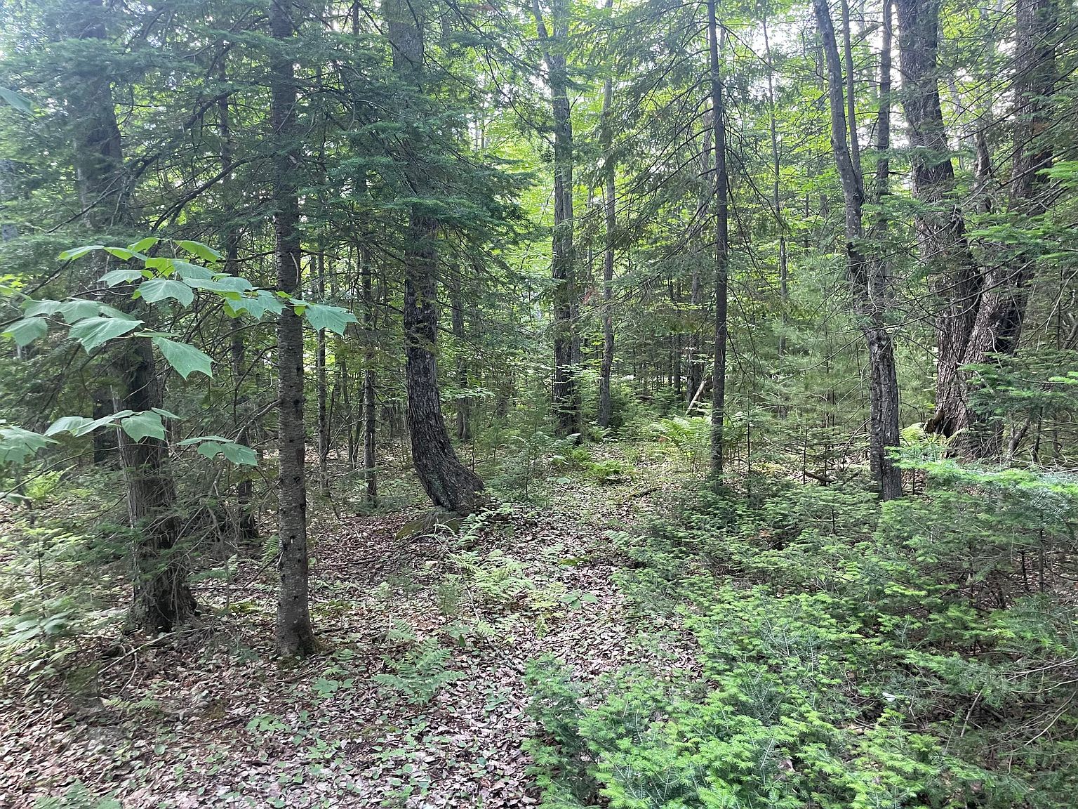 TBD Gammon Road Lot 80, Peru, ME 04290 | MLS #1532609 | Zillow