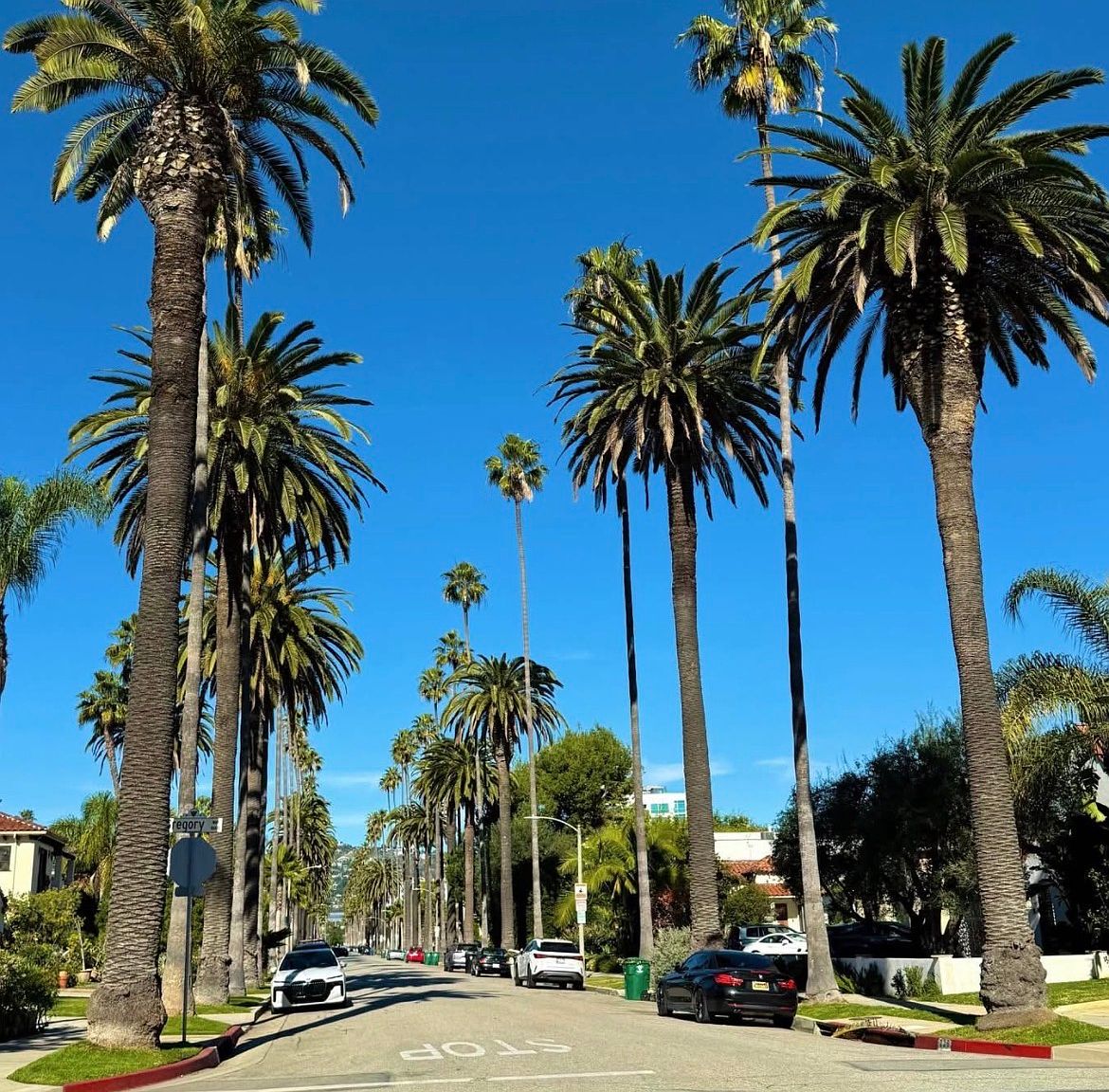 815 S Sherbourne Dr APT 1, Los Angeles, CA 90035 | Zillow