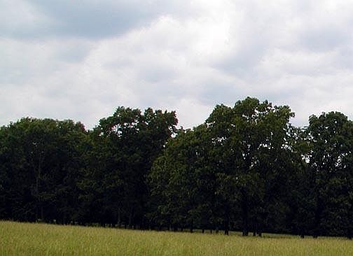 000 Us Highway 160 W, West Plains, MO 65775 | MLS #60220065 | Zillow