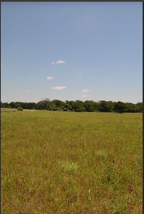 County Road 1248, Whitney, TX 76692 | Zillow