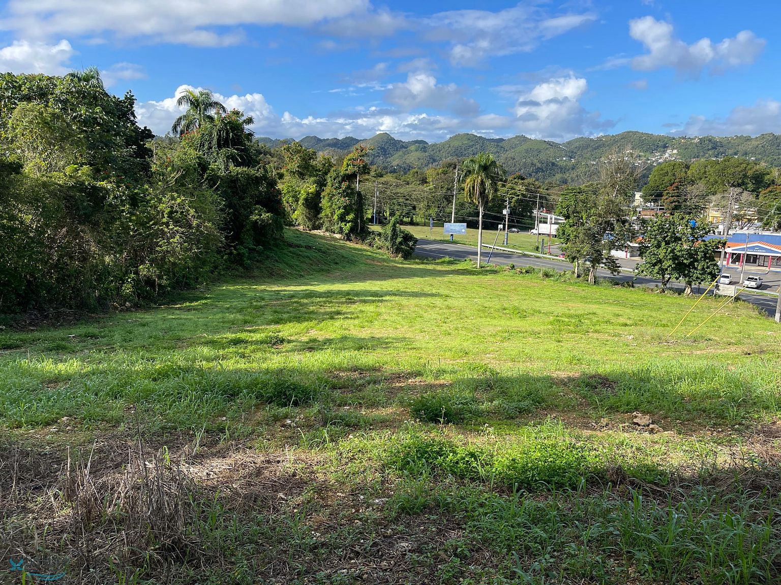 Km 11.8 R Pr #149, Ciales, PR 00638 | MLS #55443 | Zillow