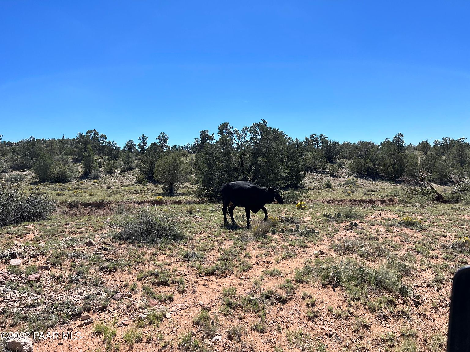 293 Old Deputy Shortline, Ash Fork, AZ 86320 | Zillow