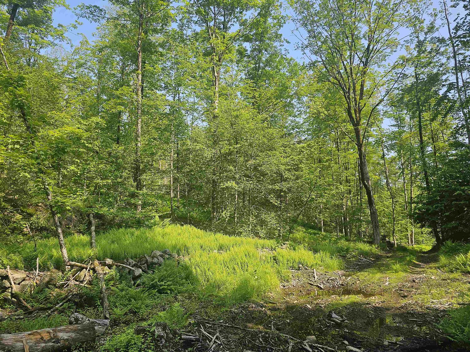 0 Stones Mill Road, Spofford, NH 03462 | MLS #5045865 | Zillow