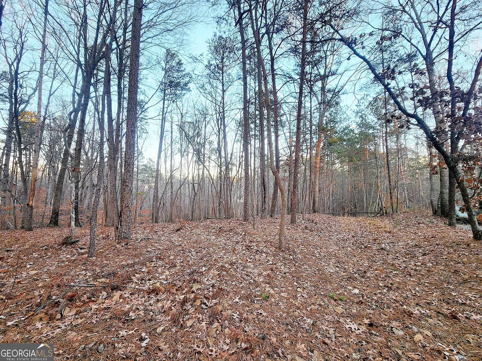 0 Pmb Young Rd, Cartersville, GA 30120 | MLS #20166450 | Zillow