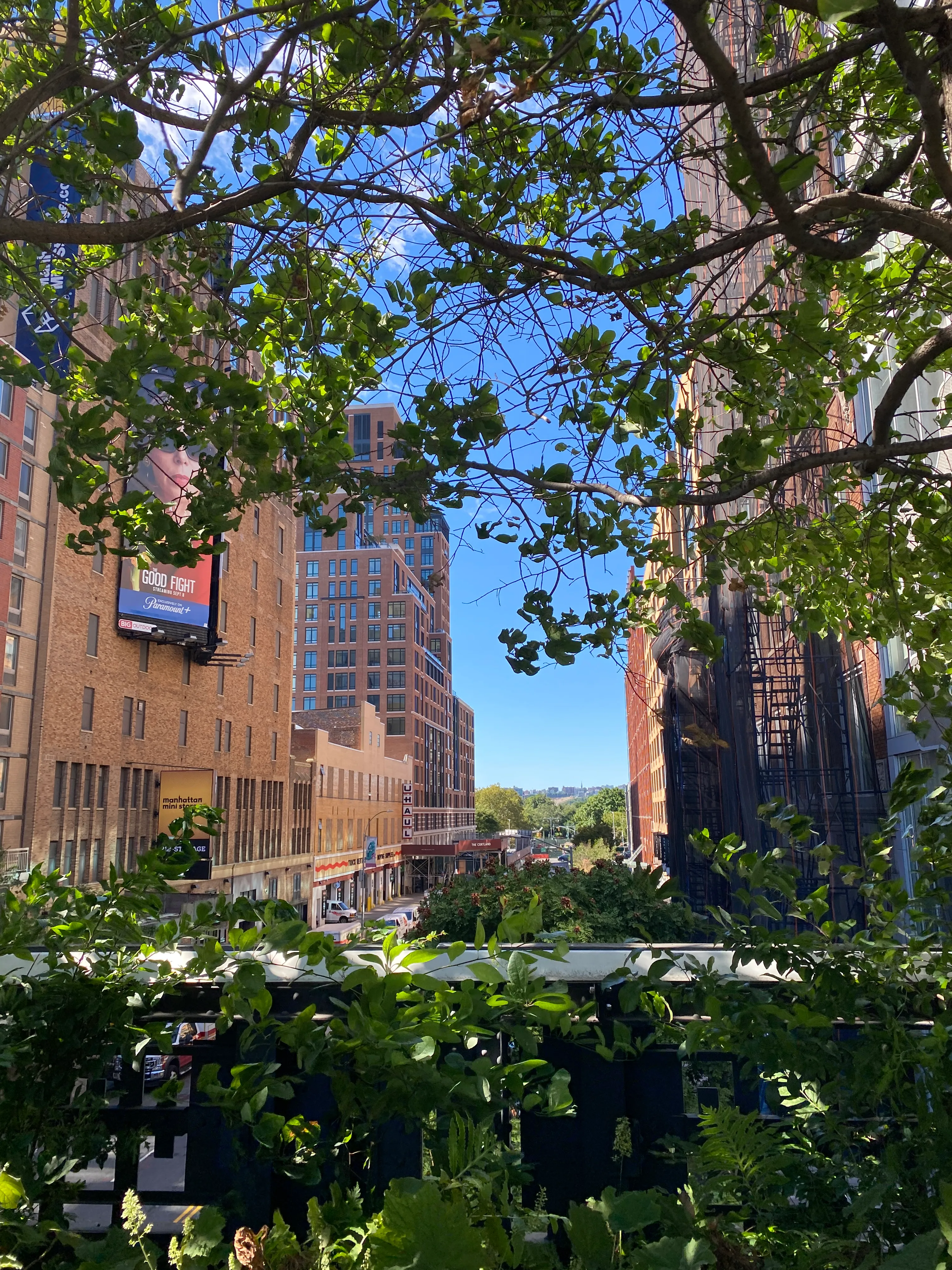 555 West 23rd Street #N11H in West Chelsea, Manhattan | StreetEasy